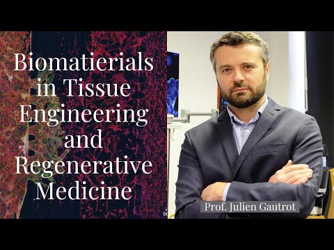 STEM Talk: Biomaterials in Tissue Engineering and Regenerative Medicine by Professor Julien Gautrot