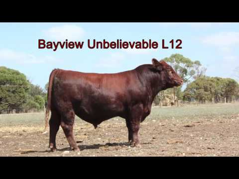 UnbelievableLot4
