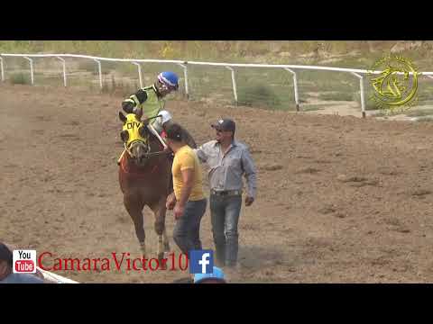 El Fusible En Abierta 250