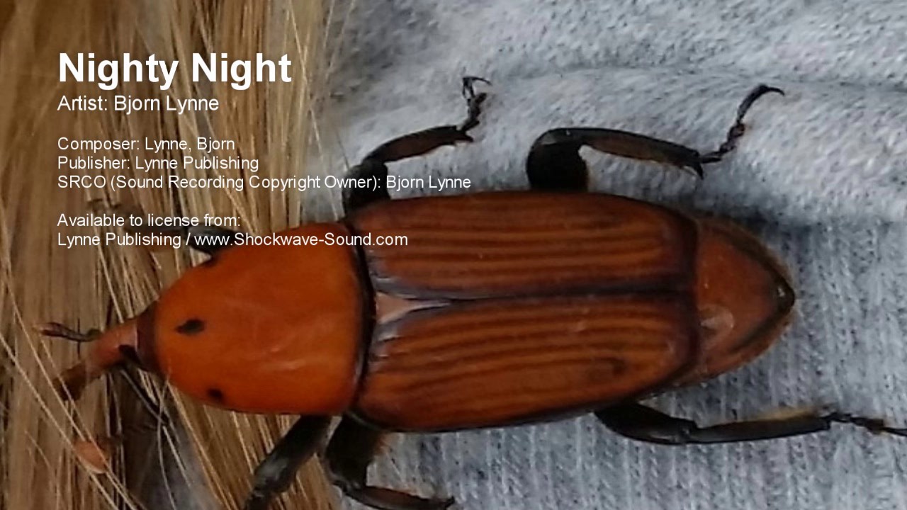 Nighty Night - Bjorn Lynne (Lynne Publishing)