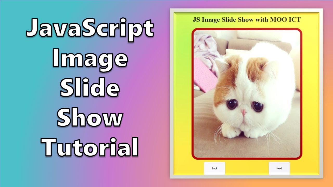 Make a Image Slide Show using JavaScript - Beginner Tutorial