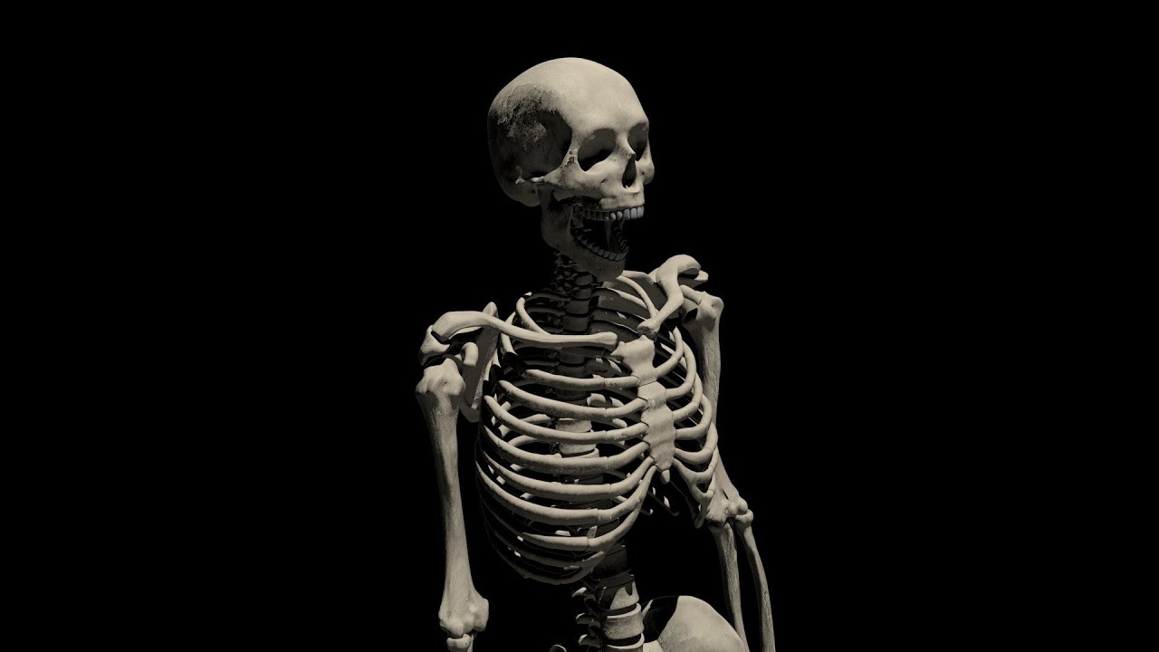 Skeletons PSA: Preparing for the Skeleton War