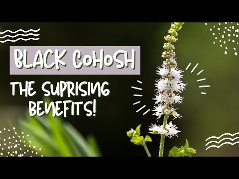 Black Cohosh - Surprising Benefits of Black Cohosh