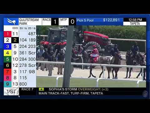 2 Year Old Fillies Load Into The Starting Gate For Race 1 Gulfstream Park Thurs. May 23, 2024.