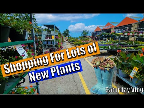 Plant Shopping at The Home Depot & Lowes || Plant Haul || Hen's & Chicks Planter || Saturday Vlog