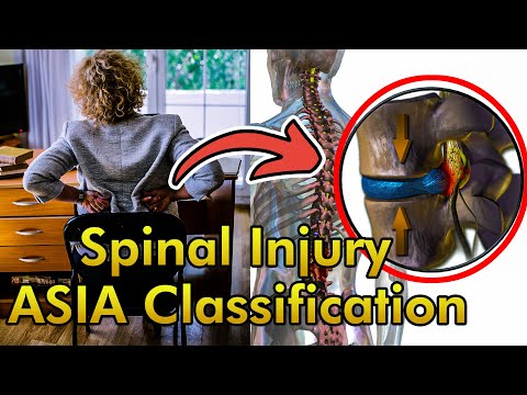 ASIA Scale For Spinal Cord Injury Explained