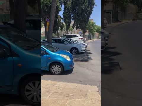 A walk through the park after grocery shopping/ טיול בפארק אחרי קניות בסופר.