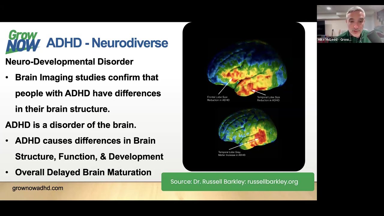 Executive Function Series - #1 Executive Functioning at Home