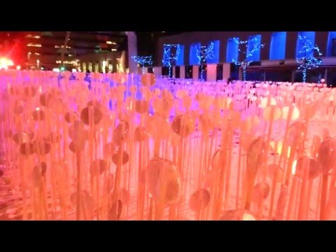 Outdoor Exhibit: Entre les Rangs | Tranquil Dreams