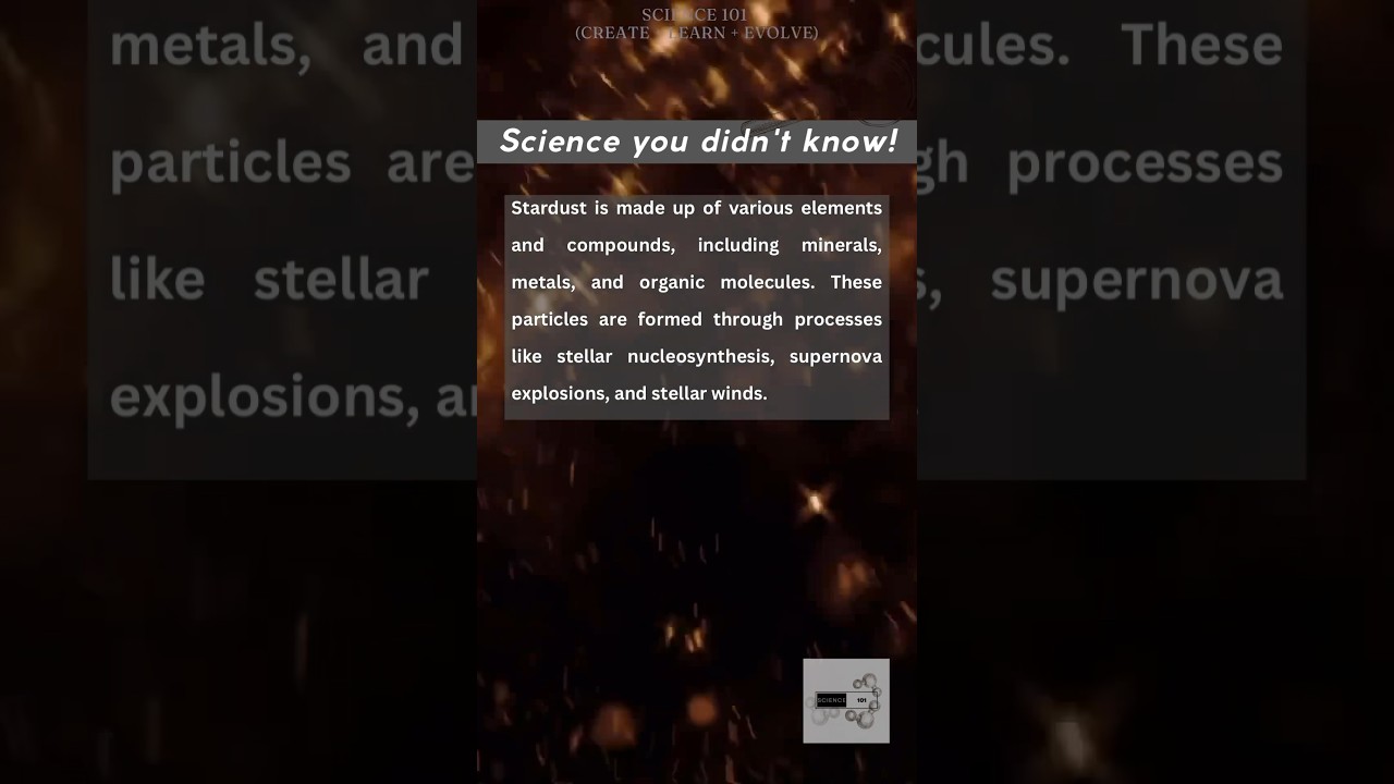 Stardust 101