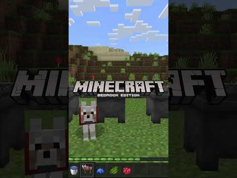 How to DYE WOLF ARMOR in Minecraft #shorts