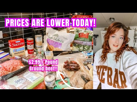 $100 LOW INCOME GROCERY HAUL FOOD LION WITH PRICES