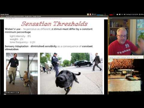 PSYCH-UNIT-2-INTRO-SENSATION-PERCEPTION