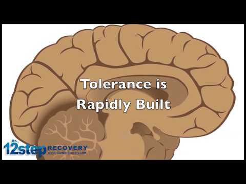 Amphetamine and the Brain🧠 - What is Amphetamine? - Effects of Amphetamine - Amphetamine Addiction