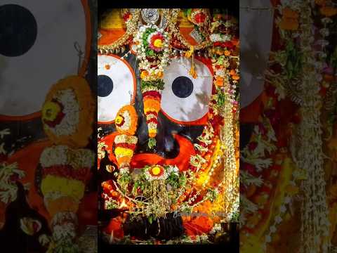 ତୋର ଚାକ ନୟନ କୁ ଦେଲେ ଅନେଇ | Tora Chaka Nayanaku Dele Anai | Jagannath Bhajan | Odia Bhajan #jagannath