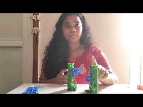 Xylem Express: Capillary Transport Model in Plants
