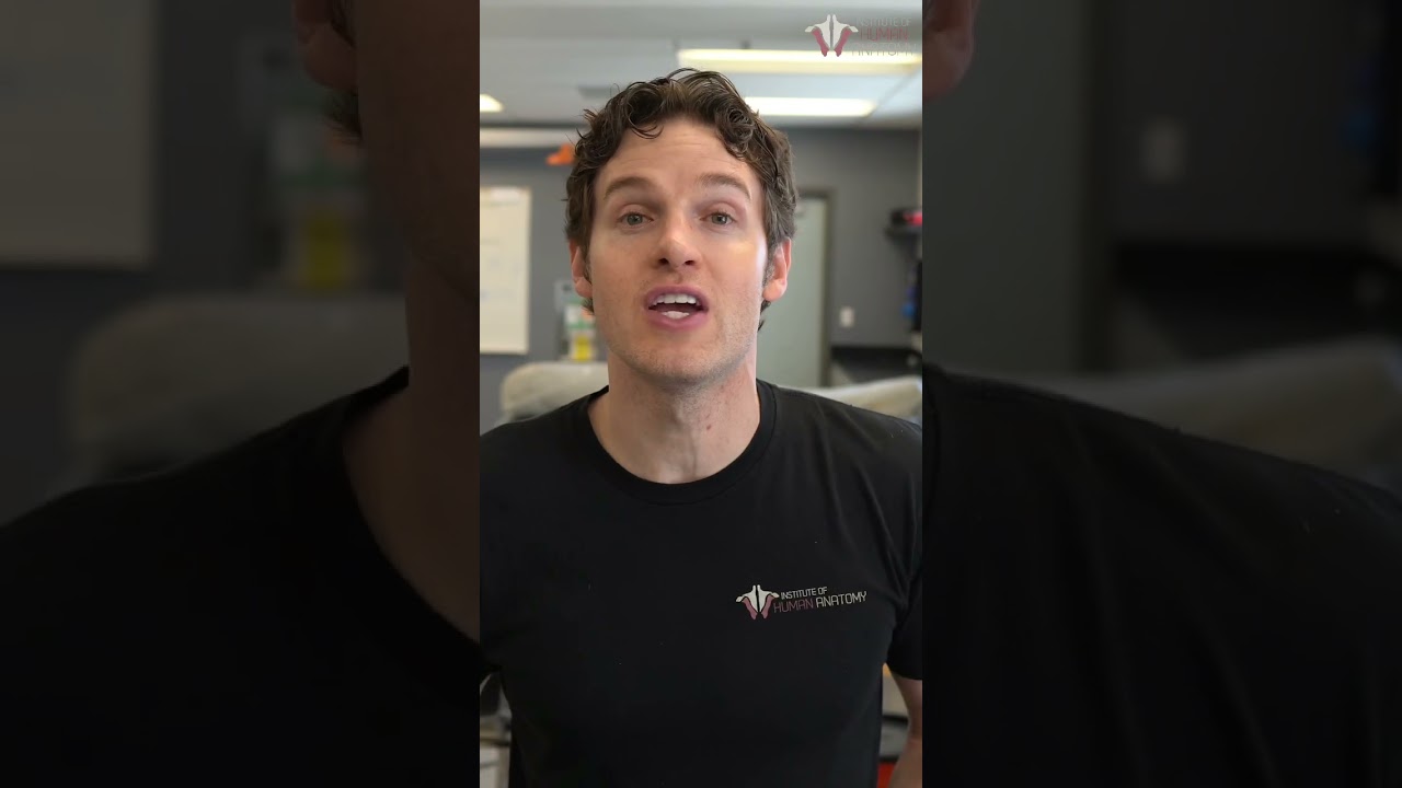 The Master of Your Hormones - A Real Pituitary Gland | #shorts #hormones