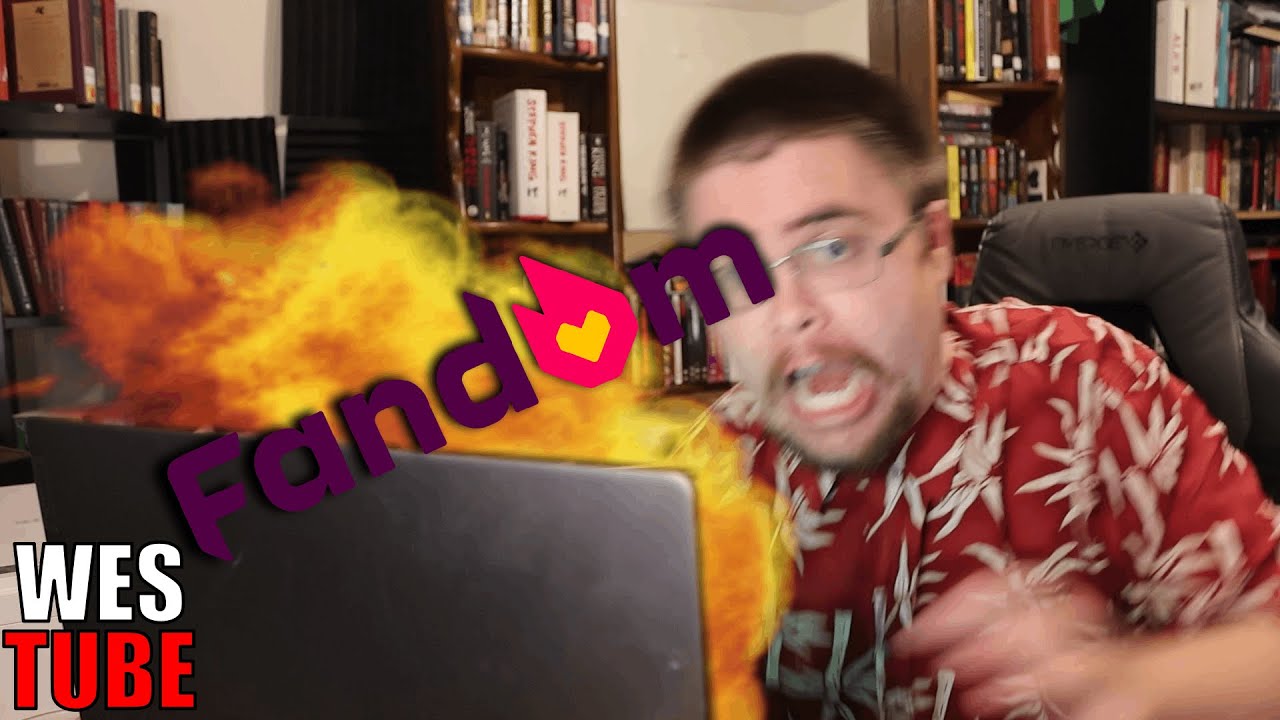 Fandom Wikis Be Like...