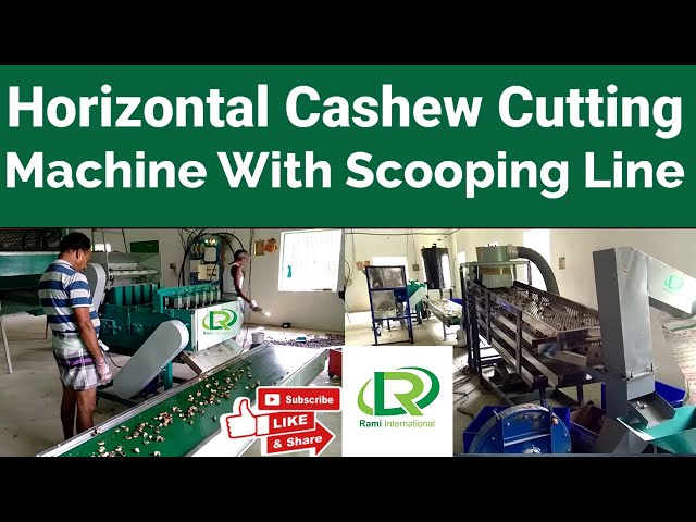 Cashew Scooping Machine - Automatic Cashew Scooping Machine ...