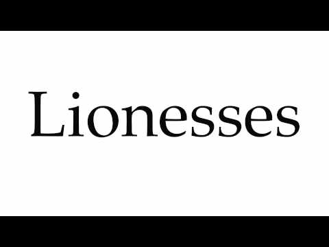 How to Pronounce Lionesses