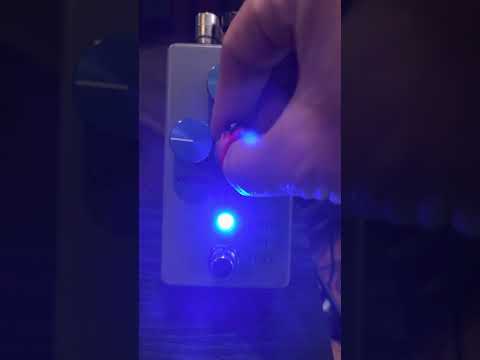 PedalPCB Lord of Fuzz (price reduced) | Reverb