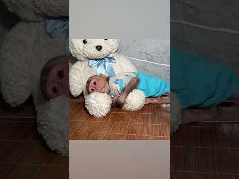 Baby monkey NANA is sad because her father left home #shorts #monkey #smartmonkey #monkeybaby