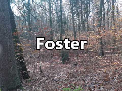 FOSTER as a Family Name Meaning and Origin