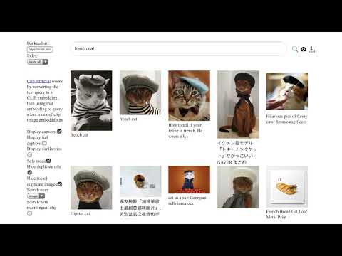 LAION-5B: An open large-scale dataset for training next generation image-text models