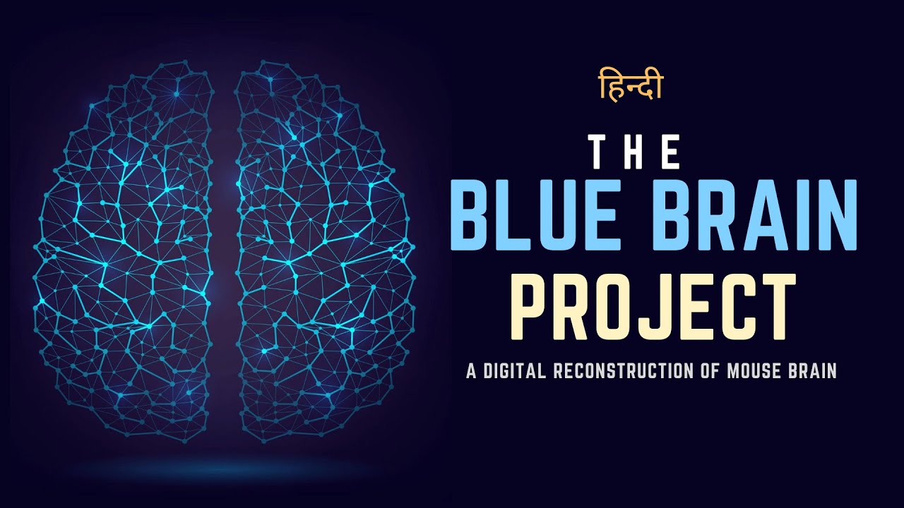 Exploring the Blue Brain Project: A Digital Reconstruction of the Mouse ...