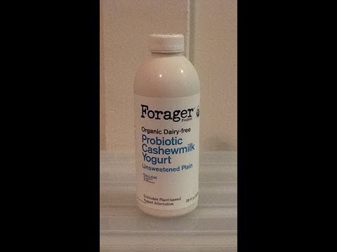 Forager® Project - Part 5: Probiotic Cashewmilk Drinkable Yogurt Unsweetened Plain