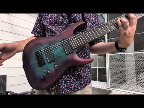 Agile Septor elite 828 with KILLSWITCH | Reverb