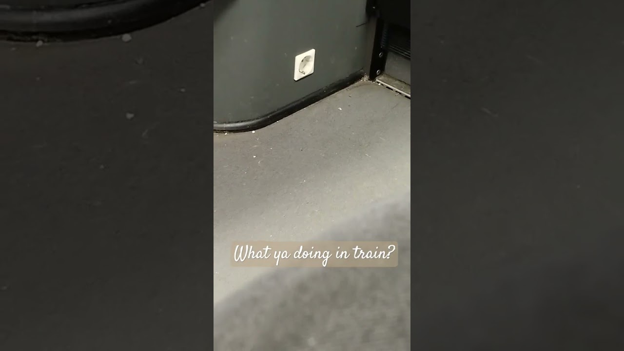 DB, thank you for the ability to charge my phone in train 🥳 #funny #meme #memes