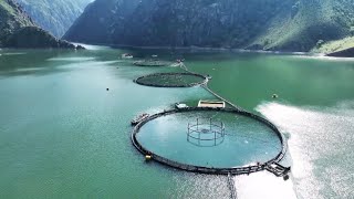 Landlocked Xinjiang Leverages Unique Advantages To Farm Fish In Desert ...