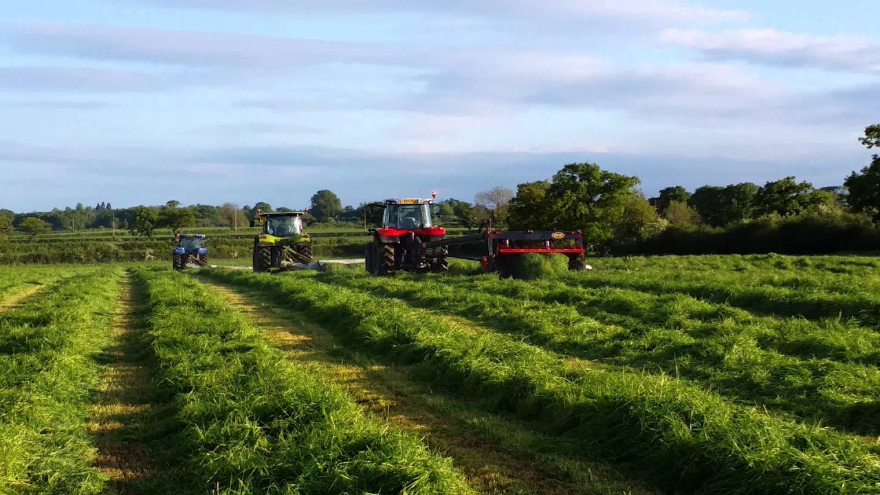 Mowing in reaseheath