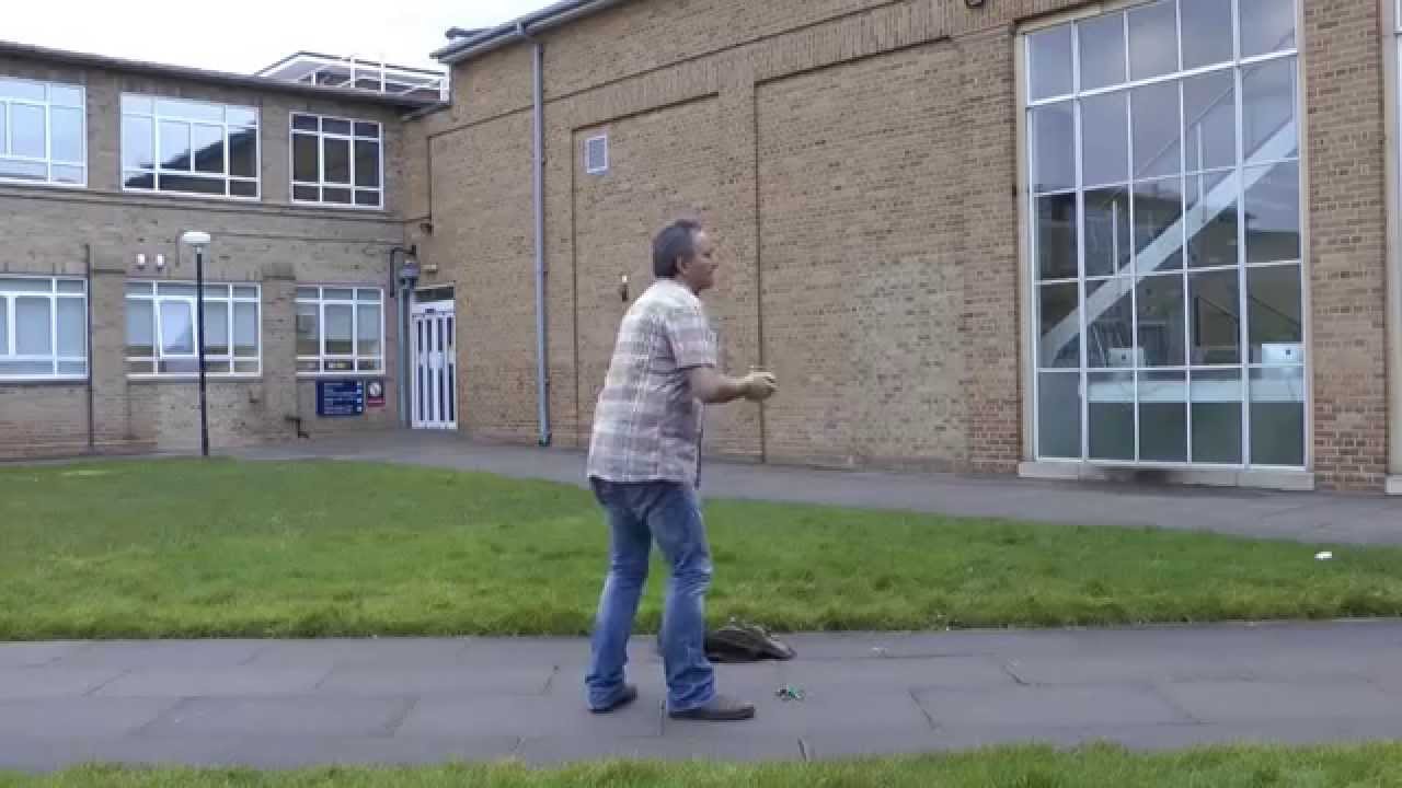 Throwing A Ball Side View Reference