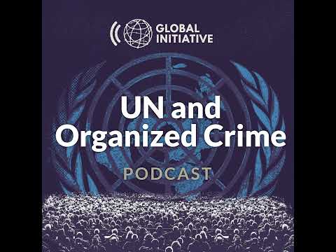 The UN Cybercrime Treaty: A threat to press freedom?
