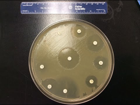 Pathology CPT codes Microbiology Part 4 - simplify medical coding