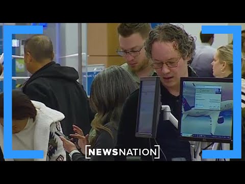 DEA airport search program halted | NewsNation Now