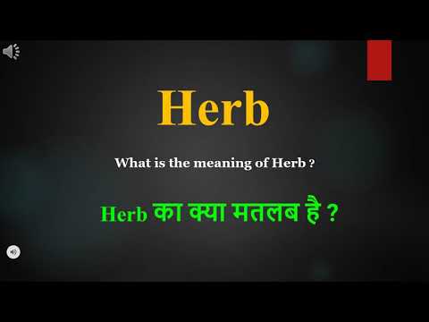 Herb meaning in Hindi | Herb ka kya matlab hota hai | daily use English words