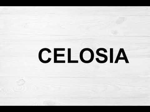 How To Pronounce Celosia