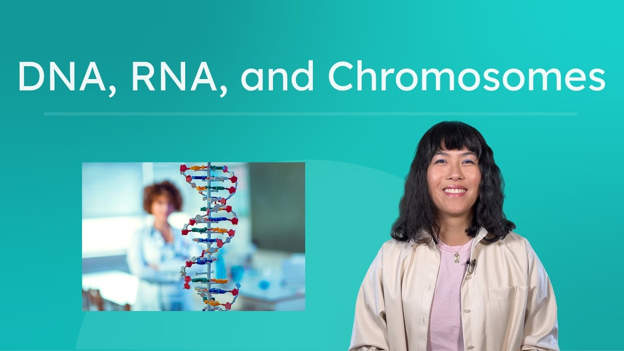 DNA, RNA, and Chromosomes - Storing Genetic Information