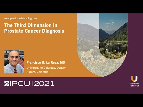 The Third Dimension in Prostate Cancer Diagnosis