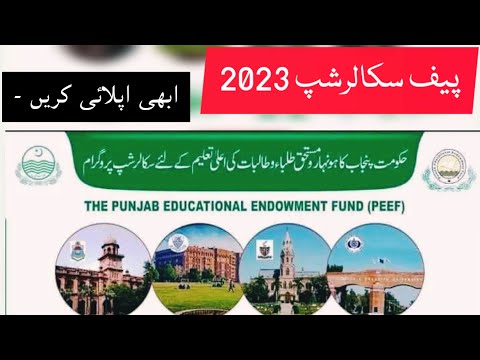 PEEF Scholarship 2023 Apply/ Punjab Educational Endowment Fund Scholarship 2023/ Waqar Shaheen 31 MB