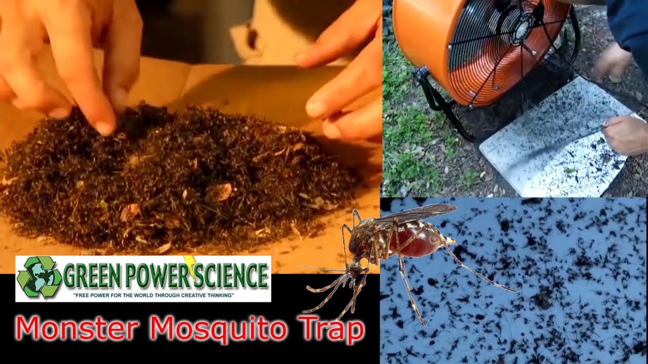 13 Homemade Mosquito Trap Ideas To Get Rid Of Mosquitos – The Self ...