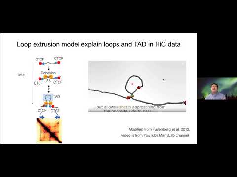 CCMB Seminar 09/30/2020 - Xiaotian Zhang, PhD