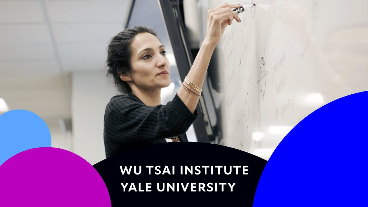 To Know, Together: Introducing the Wu Tsai Institute at Yale
