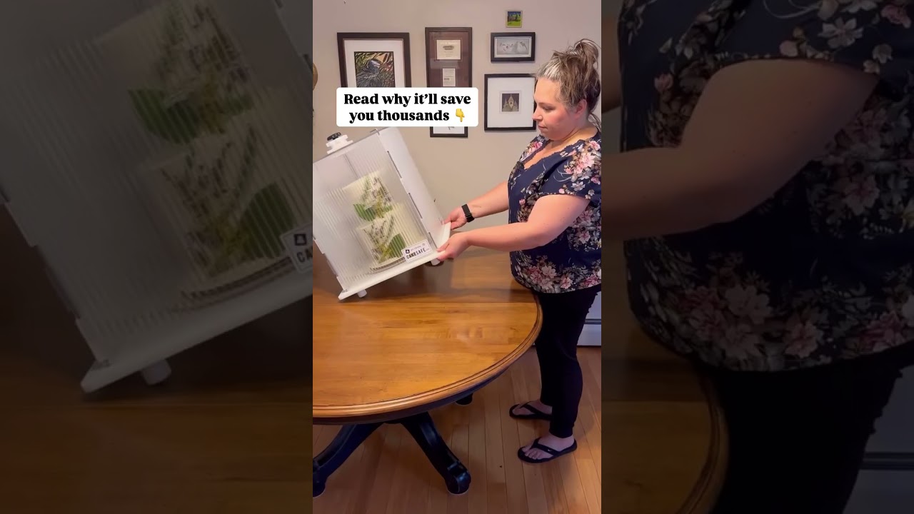 Mini CakeSafe is $375. A cardboard cake box the same size is $21 After 100 deliveries that’s $2,100!