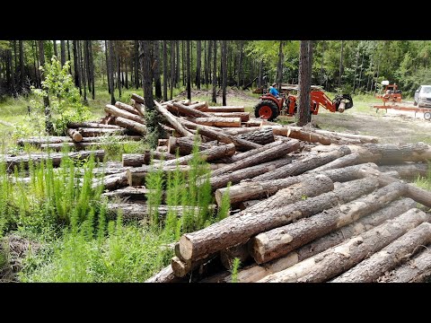 This Log Pile Was MASSIVE!