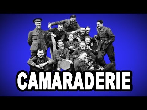 Learn English Words: CAMARADERIE - Meaning, Vocabulary with Pictures and Examples