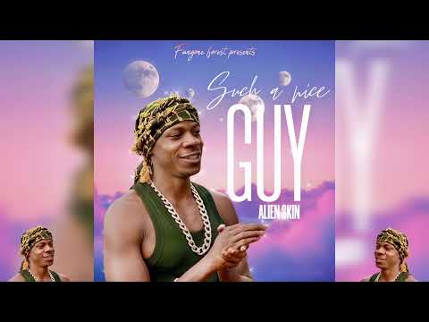 Such a nice GUY -Alien skin (official Audio Music )
